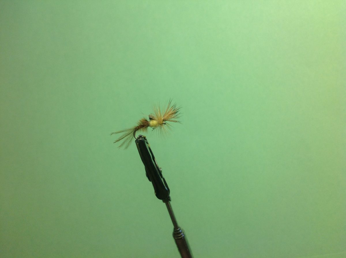 Quigley Cripple PMD – Santa Cruz Fly Fishing Club
