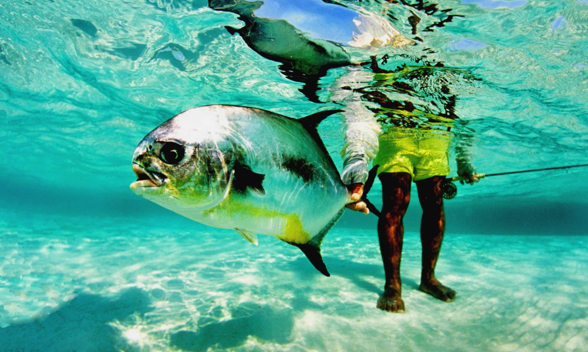 Fly Fishing Photography with Brian OKeefe – Santa Cruz Fly Fishing Club