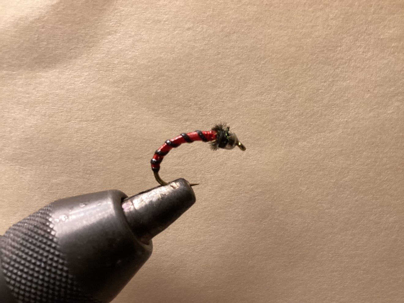Red and black larva lace midge – Santa Cruz Fly Fishing Club