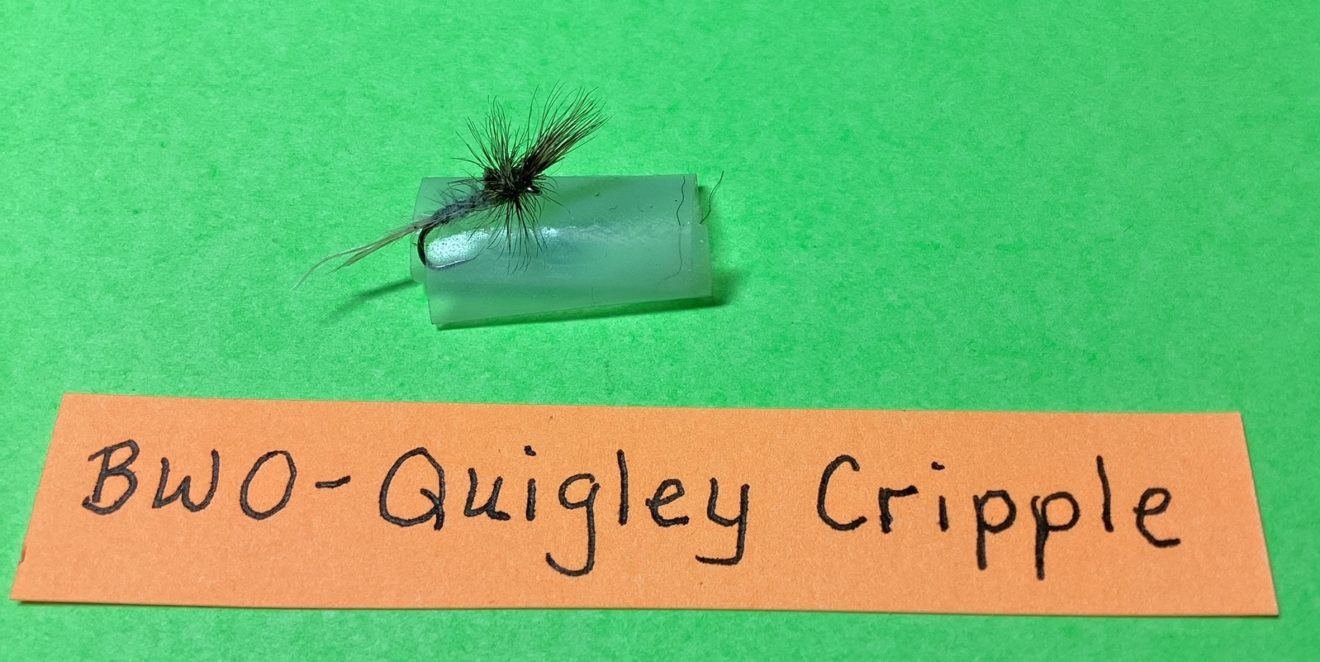 Quigley Cripple BWO – Santa Cruz Fly Fishing Club