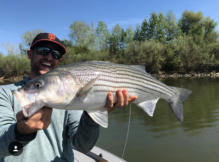 Striper Fishing on the Lower Sac with Hogan Brown – Santa Cruz Fly ...
