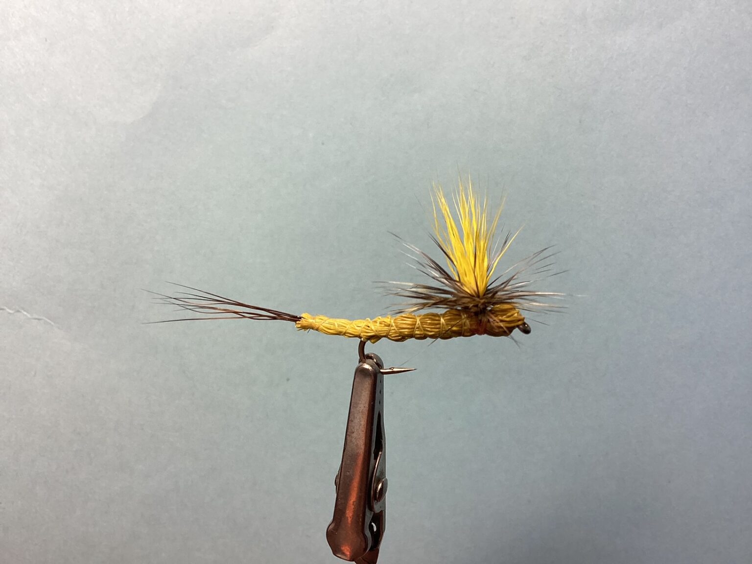 Hex Mayfly Emerge – Santa Cruz Fly Fishing Club