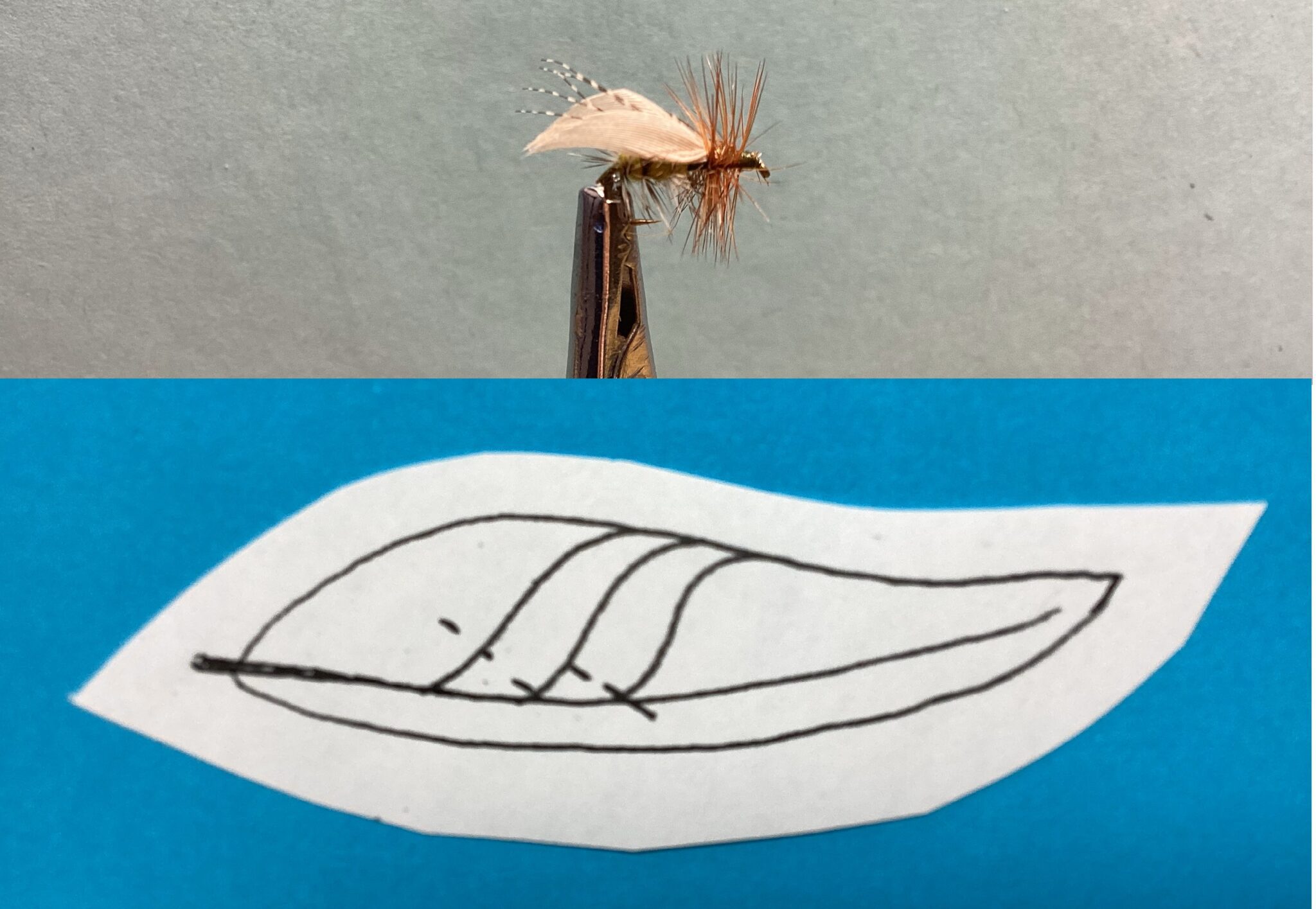 Henryville Special – Santa Cruz Fly Fishing Club