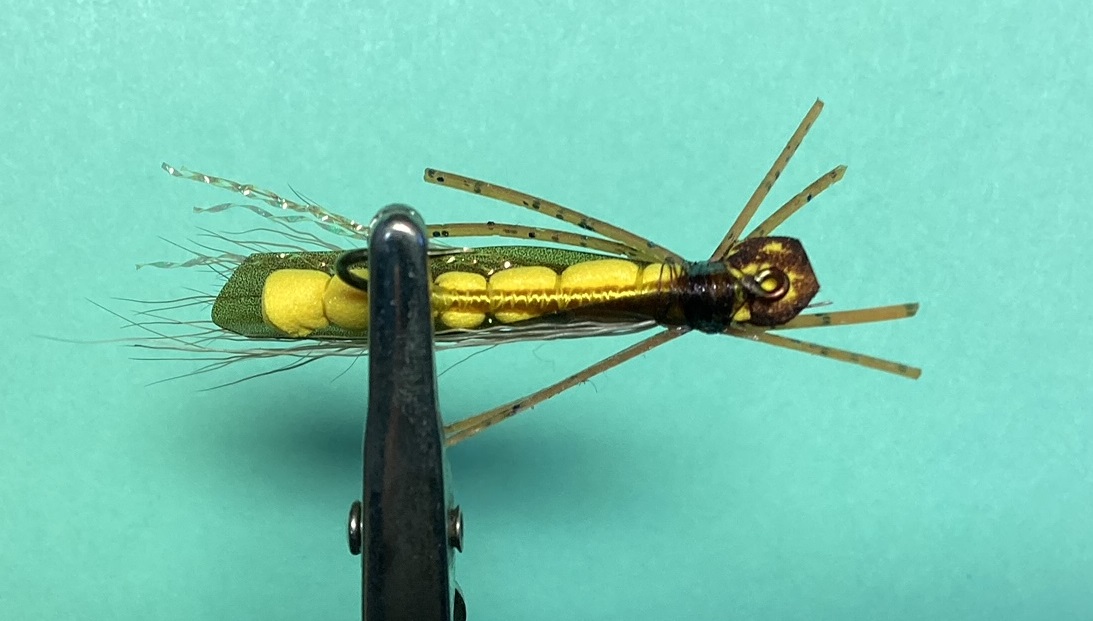 Golden Stoneflies – Santa Cruz Fly Fishing Club