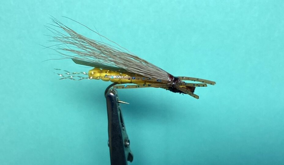 Golden Stoneflies – Santa Cruz Fly Fishing Club