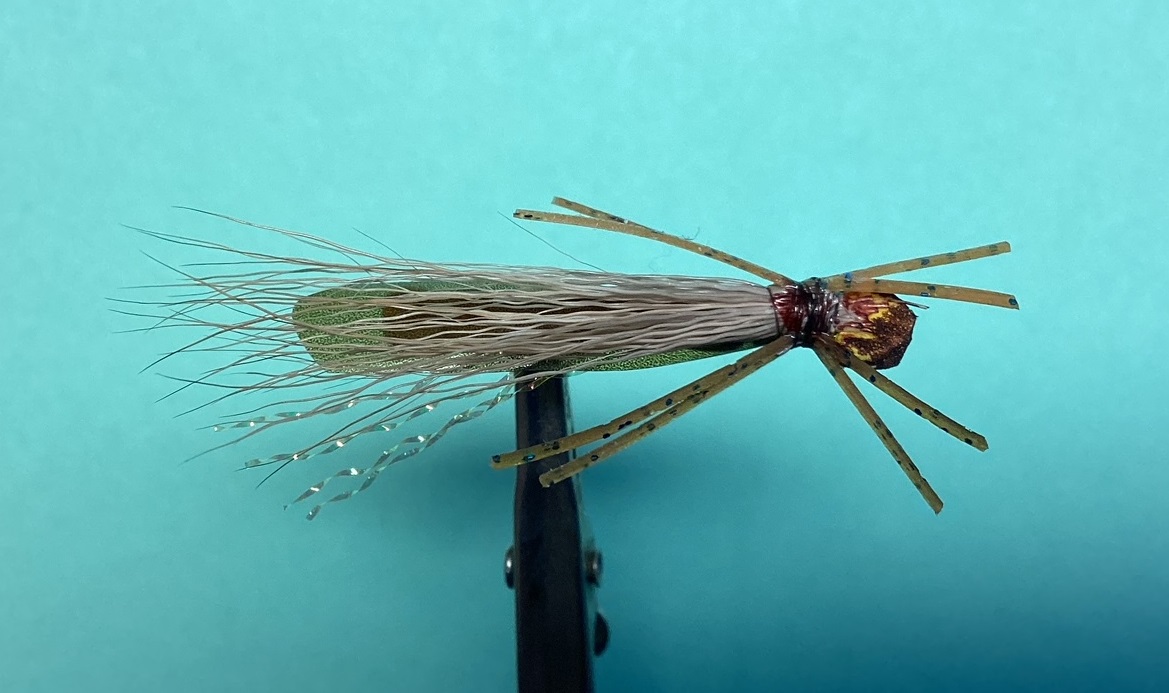 Golden Stoneflies – Santa Cruz Fly Fishing Club