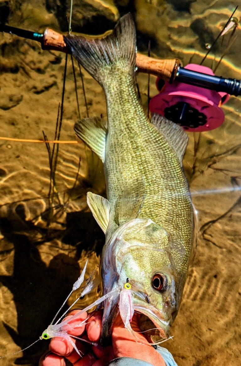 Lake Nacimiento Fishout – Santa Cruz Fly Fishing Club