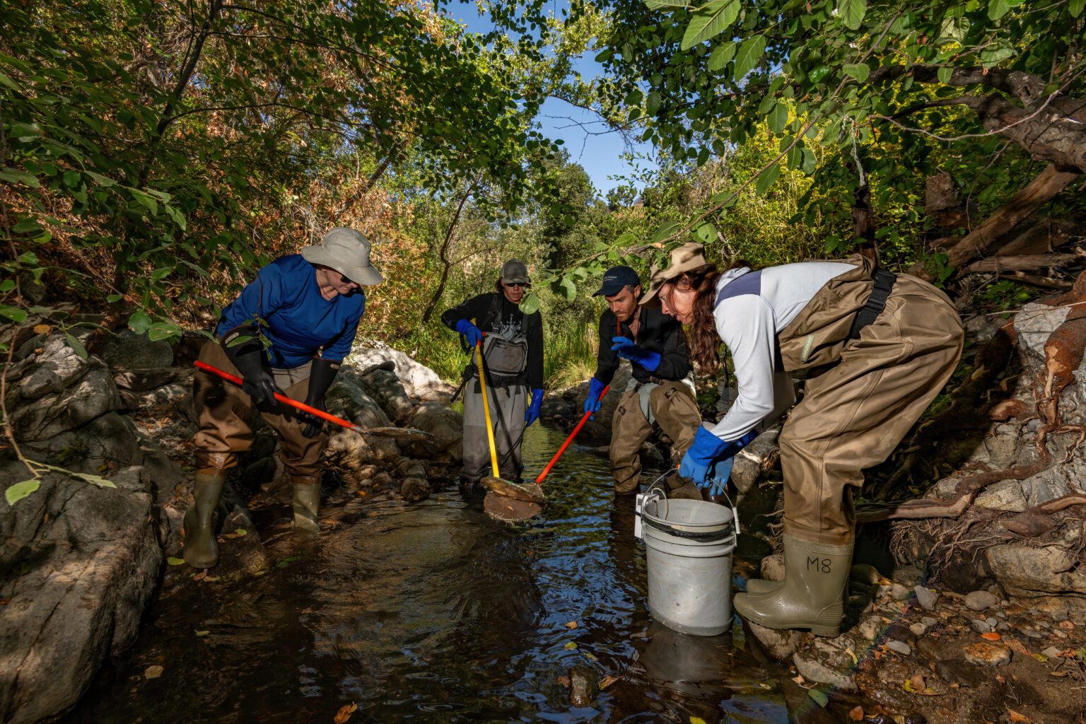 August Random thoughts – Santa Cruz Fly Fishing Club