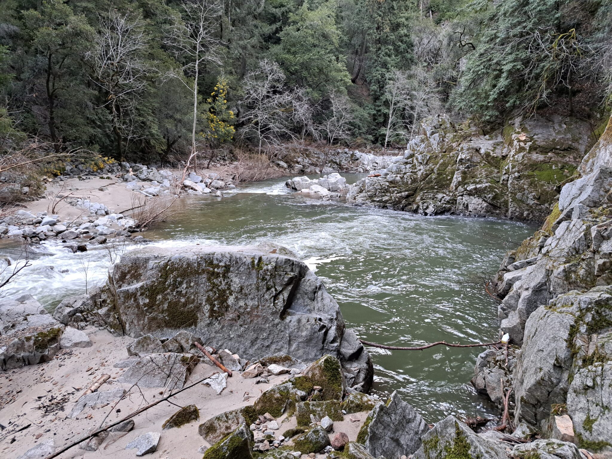 A Plan for Native Fish In Our Local Watersheds – Santa Cruz Fly Fishing ...